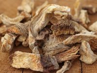 Botanicals | Global Wholesale Suppliers