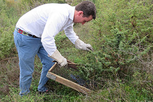 Beacon Commodities | Wholesale Suppliers