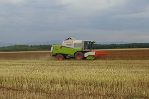 Beacon Commodities | Wholesale Suppliers