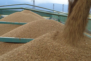 Beacon Commodities | Wholesale Suppliers