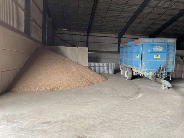 English Coriander Seed - Beacon Commodities