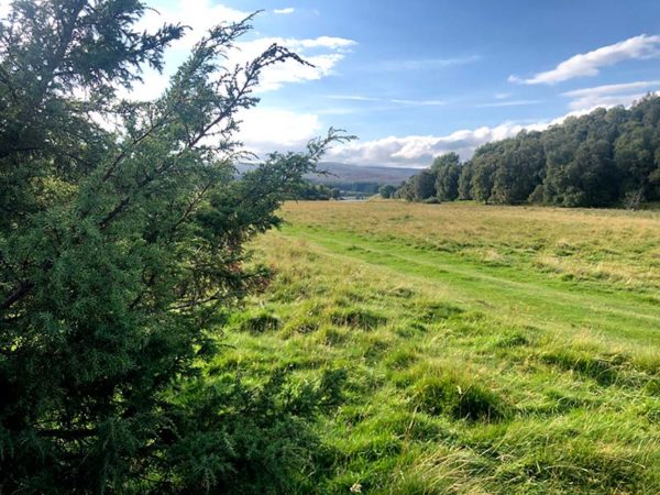 UK Juniper 2020 - Beacon Commodities