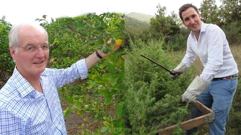 Beacon Commodities | Wholesale Suppliers